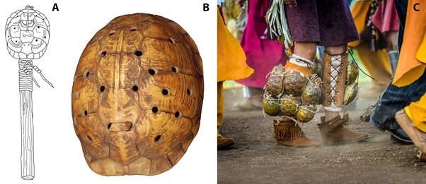 Identifying Turtle Shell Rattles in the Archaeological Record of the ...